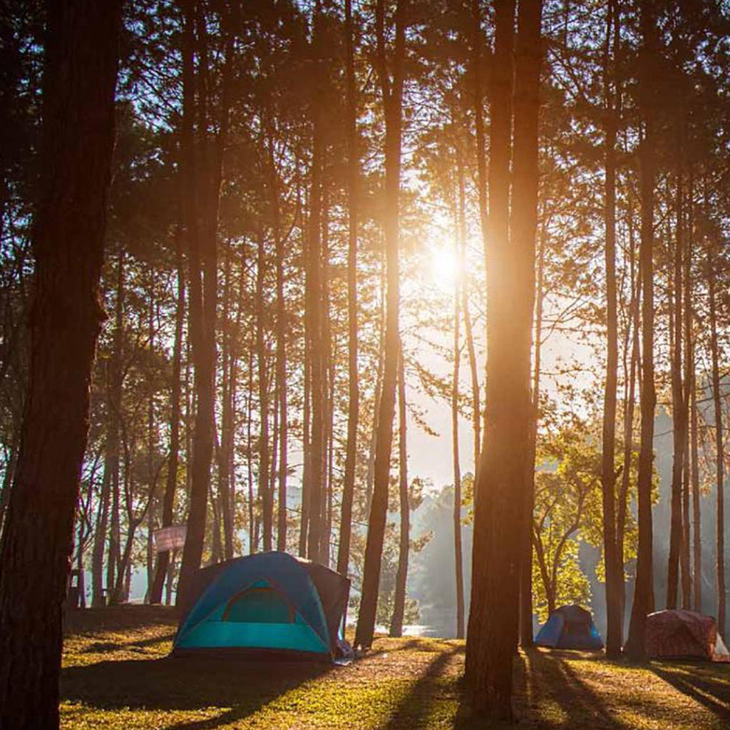 Field and Stream The Total Camping Manual - BattlBox Global